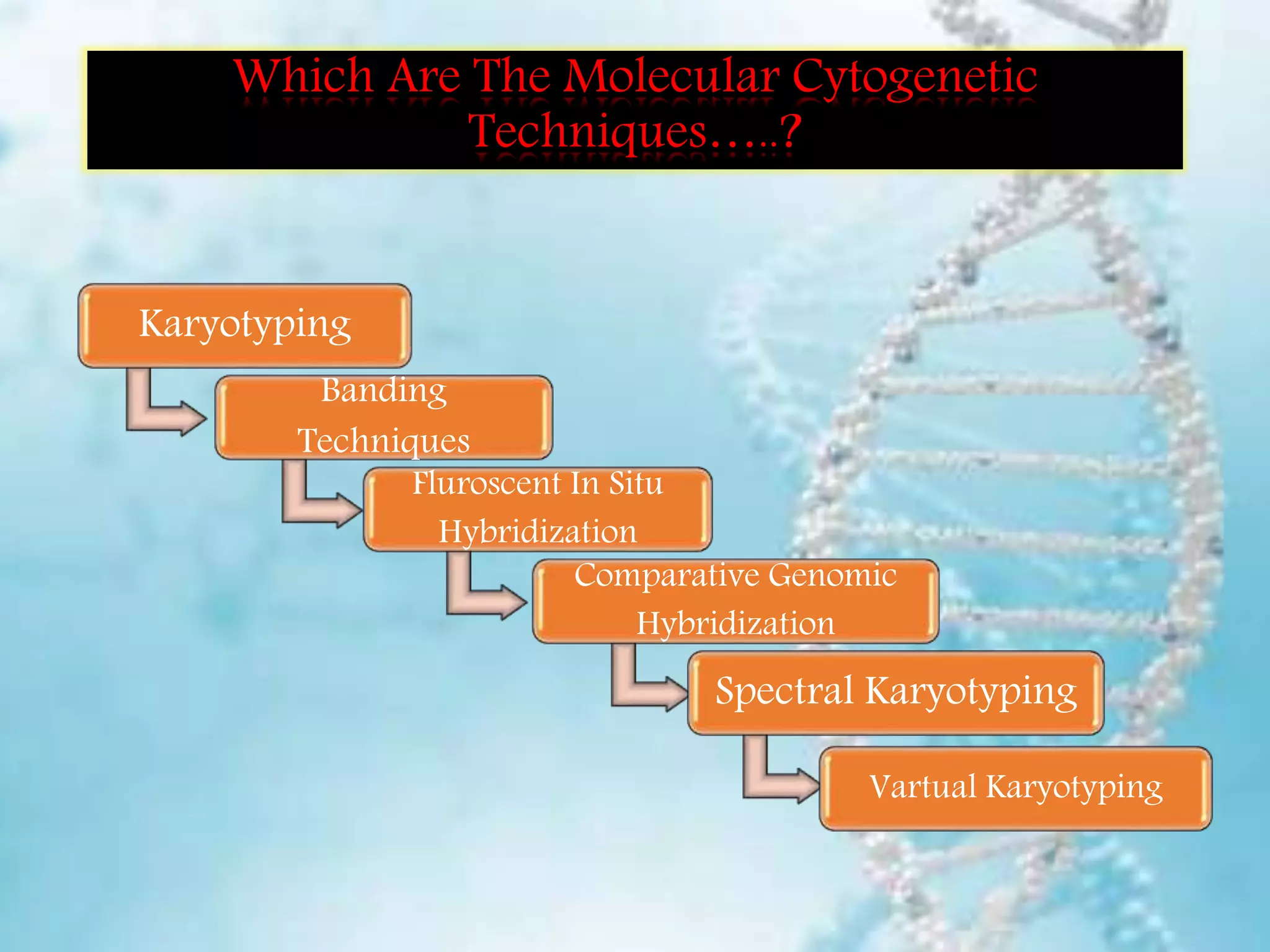 Advanced Techniques In Molecular Cytogenetics Karyotyping, FISH, CGH, SKY | PPTX