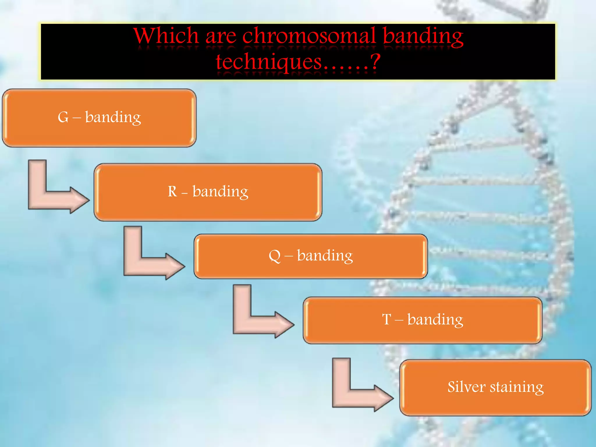 Advanced Techniques In Molecular Cytogenetics Karyotyping, FISH, CGH ...