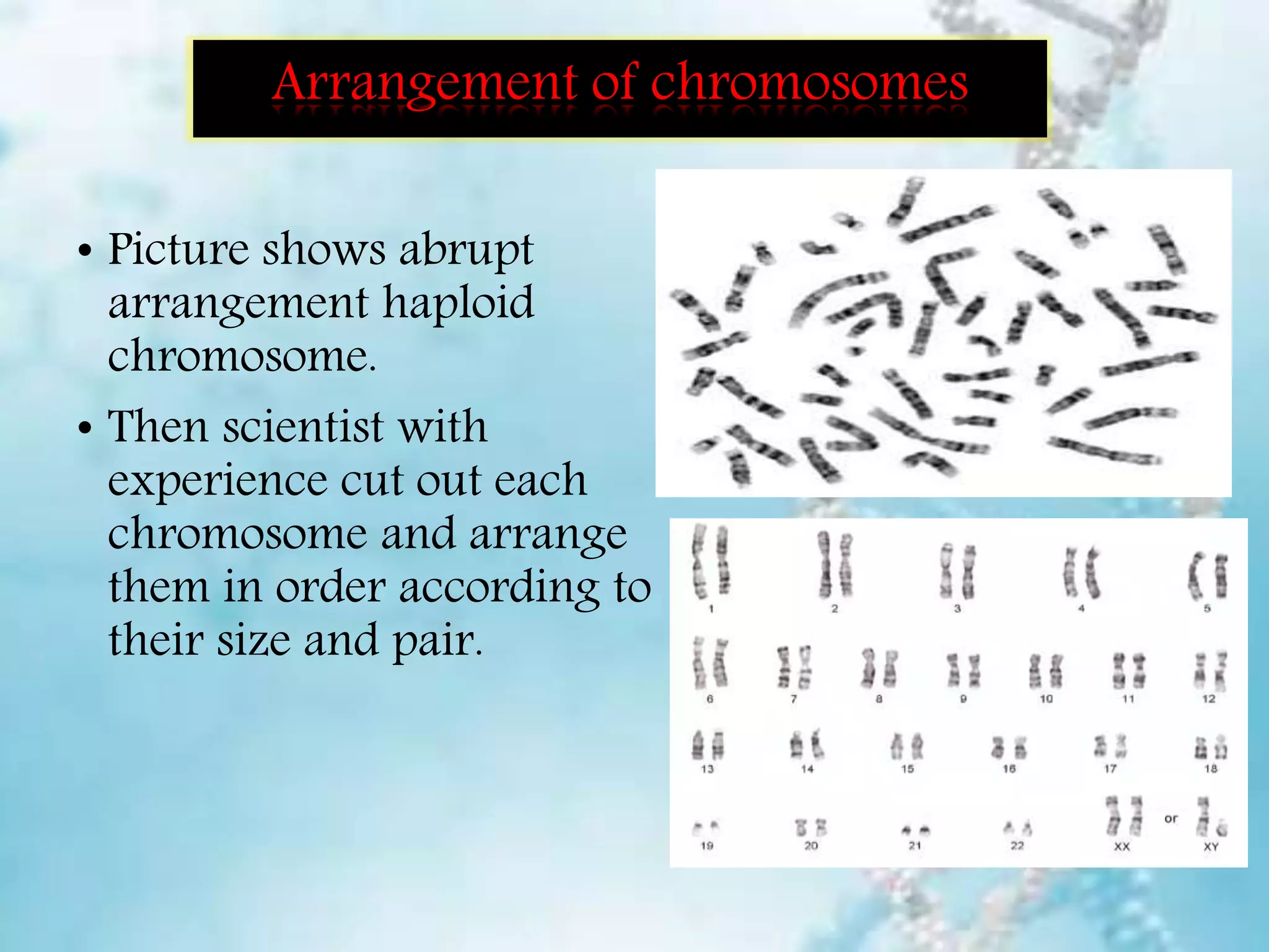 Advanced Techniques In Molecular Cytogenetics Karyotyping, FISH, CGH ...