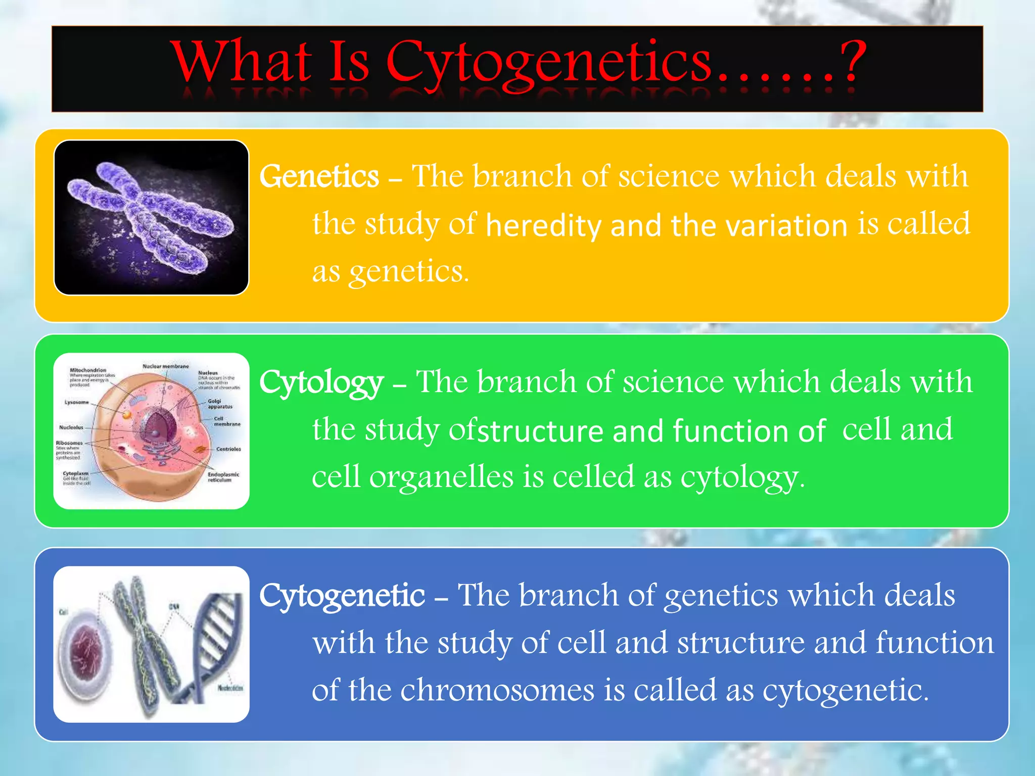 Advanced Techniques In Molecular Cytogenetics Karyotyping, FISH, CGH ...