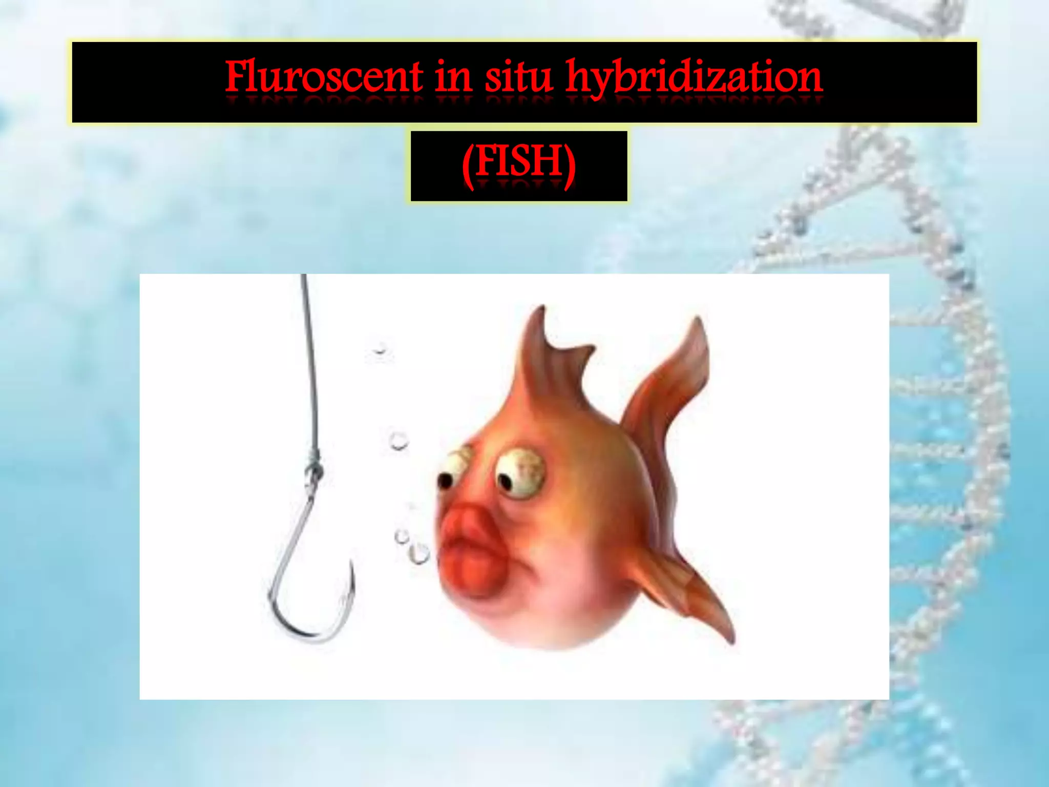 Advanced Techniques In Molecular Cytogenetics Karyotyping, FISH, CGH ...