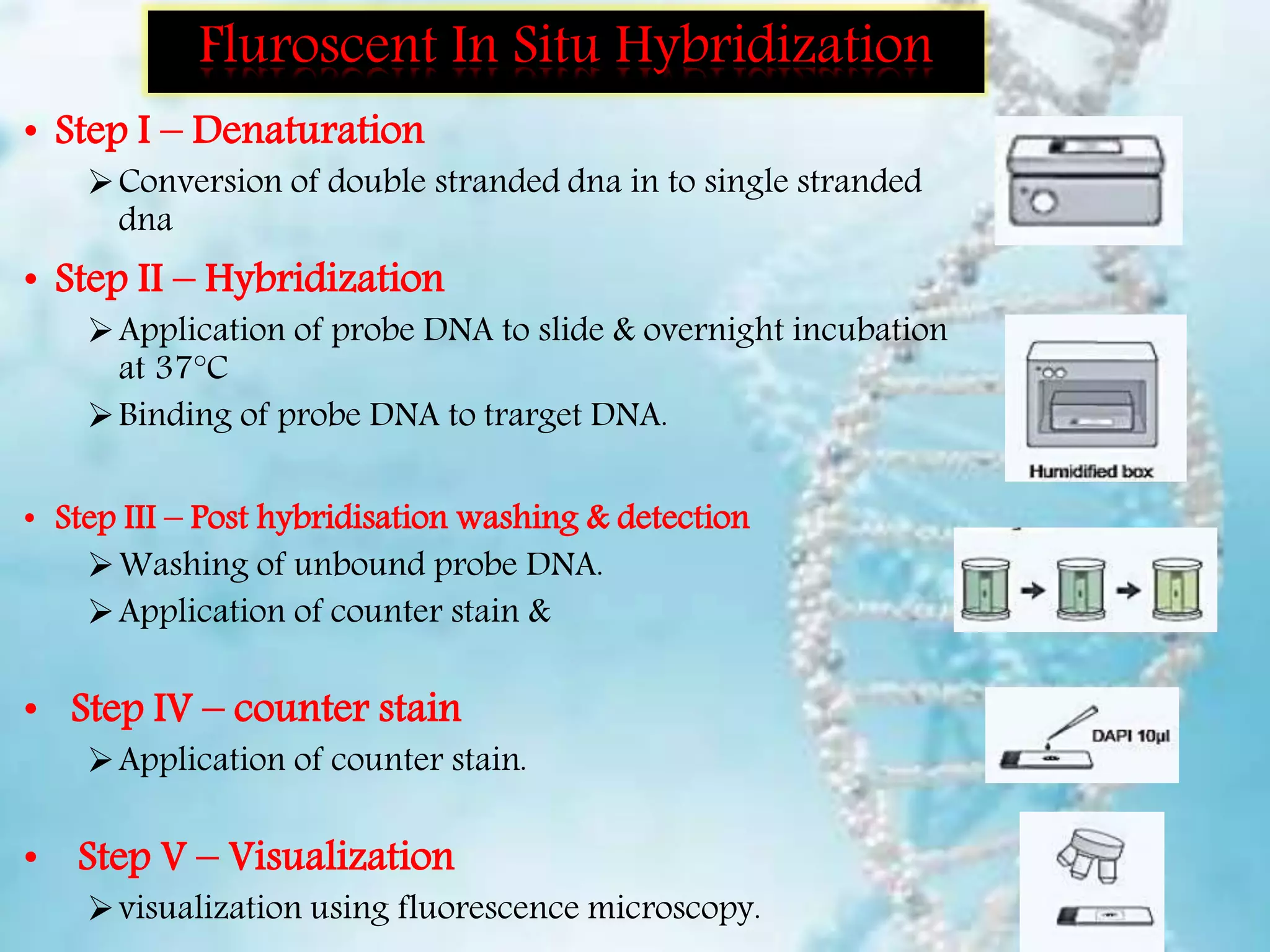 Advanced Techniques In Molecular Cytogenetics Karyotyping, FISH, CGH ...