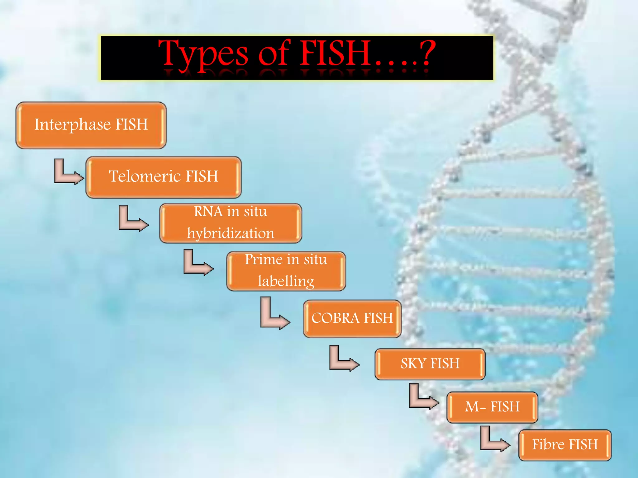 Advanced Techniques In Molecular Cytogenetics Karyotyping, FISH, CGH ...