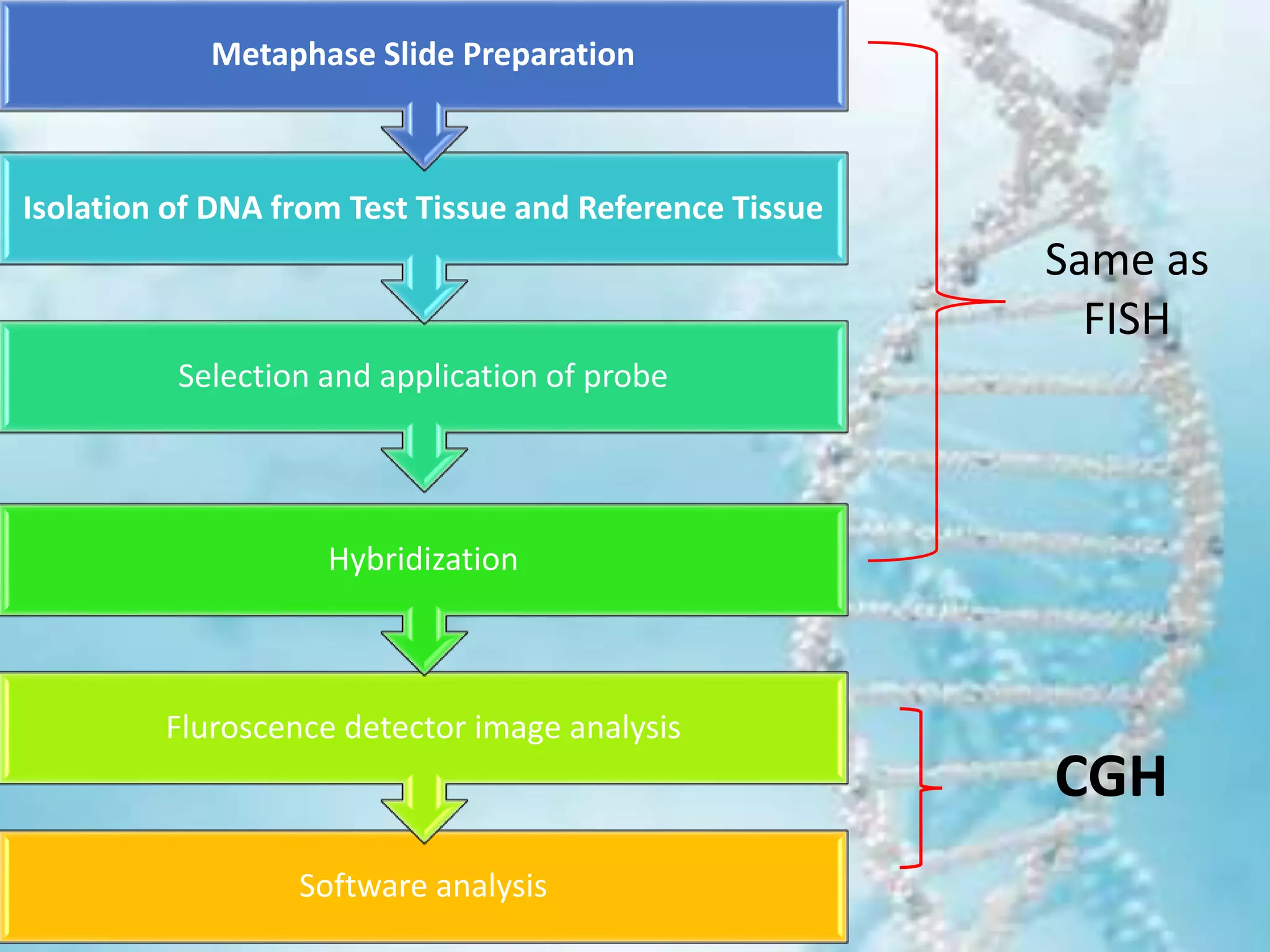 Advanced Techniques In Molecular Cytogenetics Karyotyping, FISH, CGH, SKY | PPTX