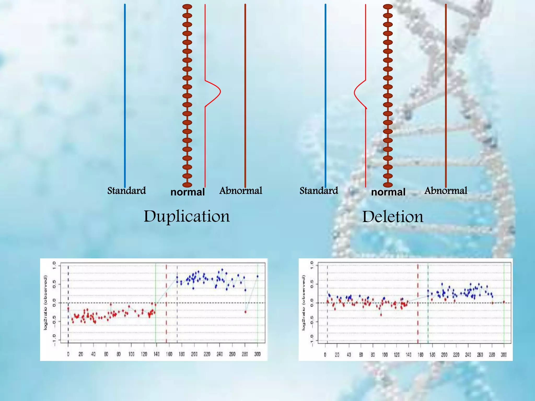 Advanced Techniques In Molecular Cytogenetics Karyotyping, FISH, CGH ...