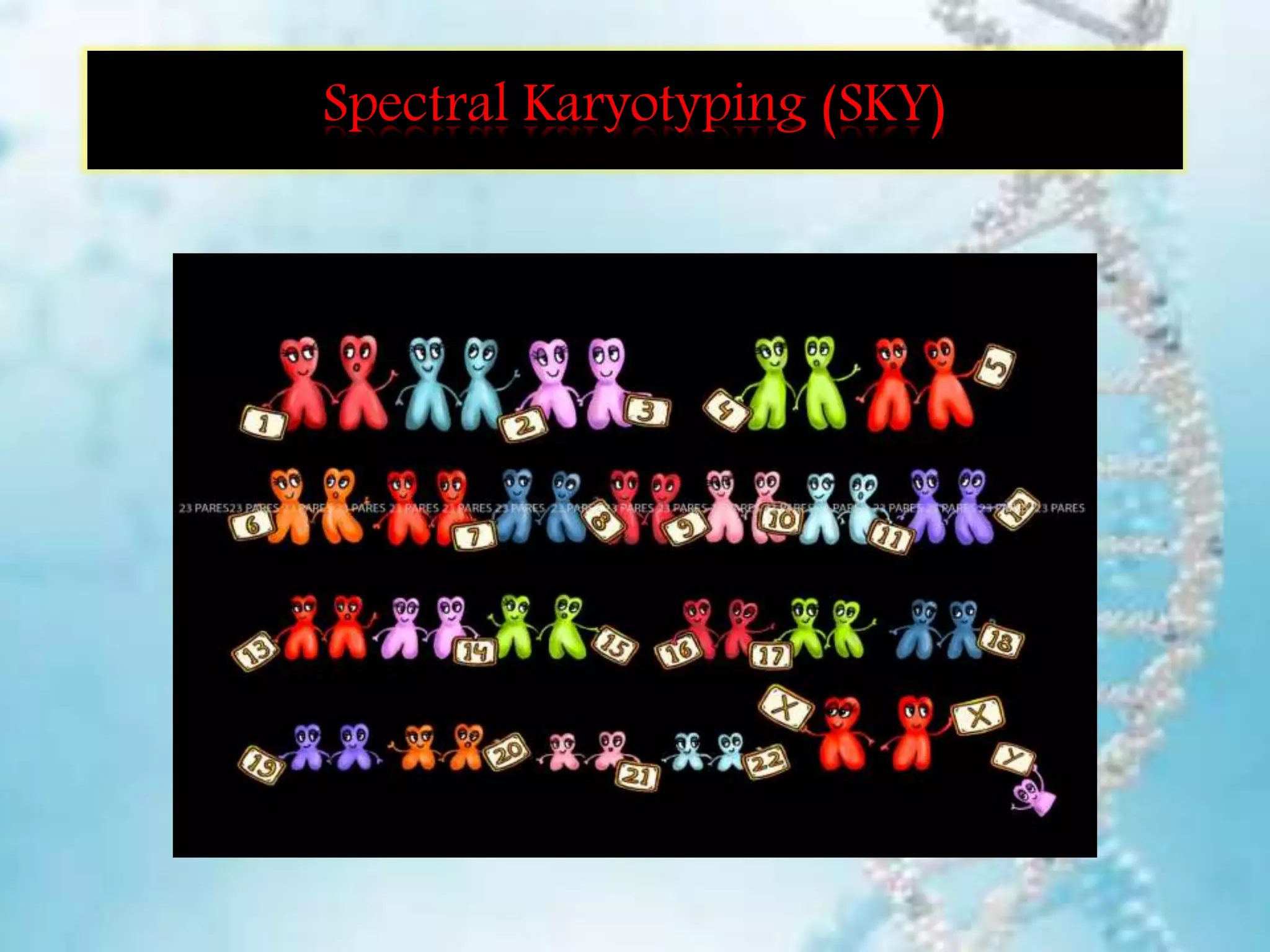 Advanced Techniques In Molecular Cytogenetics Karyotyping, FISH, CGH ...