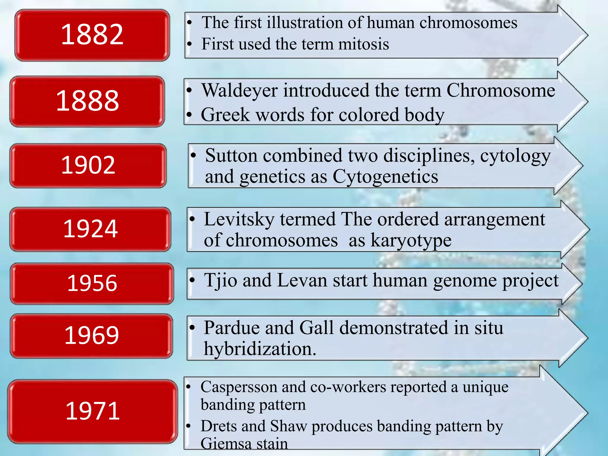 Advanced Techniques In Molecular Cytogenetics Karyotyping, FISH, CGH ...
