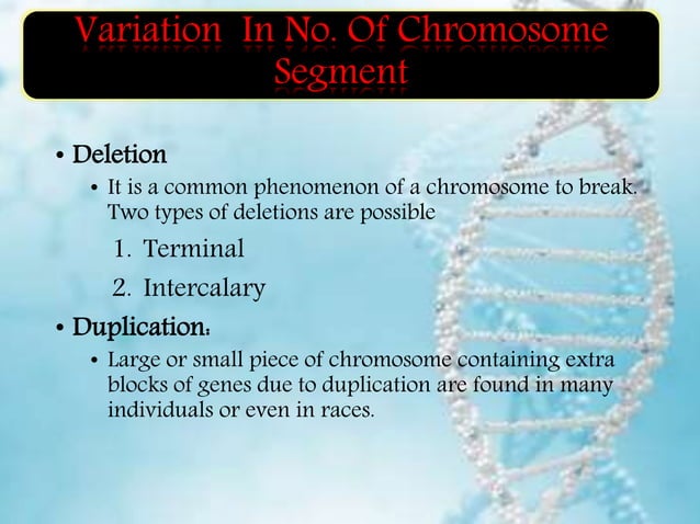 Advanced Techniques In Molecular Cytogenetics Karyotyping, FISH, CGH ...