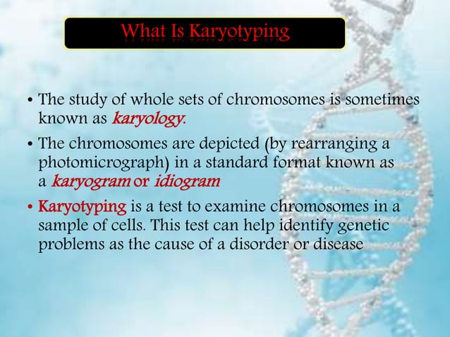 Advanced Techniques In Molecular Cytogenetics Karyotyping, FISH, CGH ...