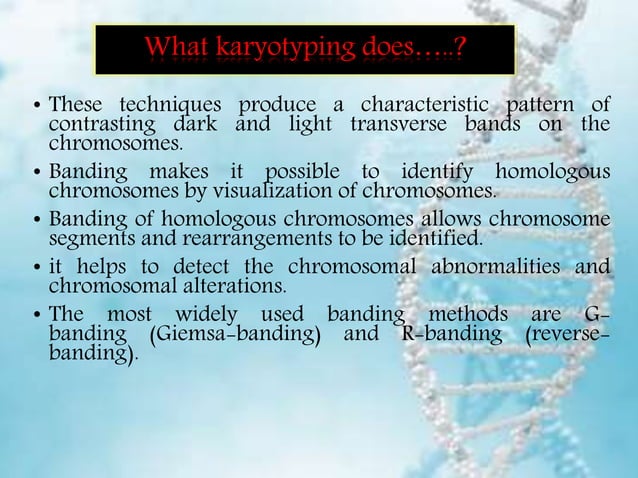 Advanced Techniques In Molecular Cytogenetics Karyotyping, FISH, CGH ...