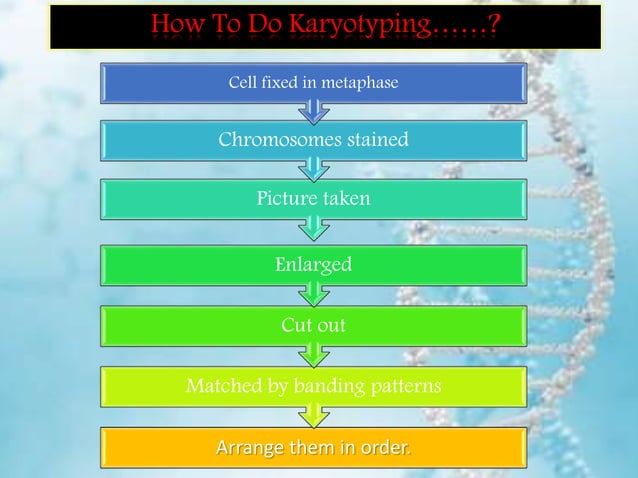 Advanced Techniques In Molecular Cytogenetics Karyotyping, FISH, CGH ...