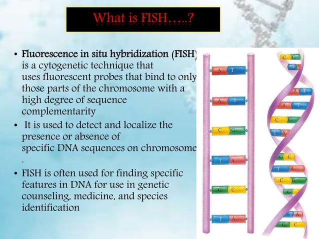 Advanced Techniques In Molecular Cytogenetics Karyotyping, FISH, CGH ...
