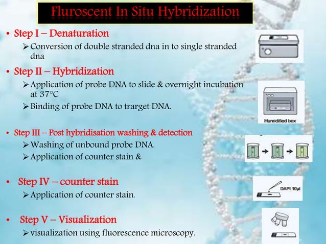 Advanced Techniques In Molecular Cytogenetics Karyotyping, FISH, CGH ...