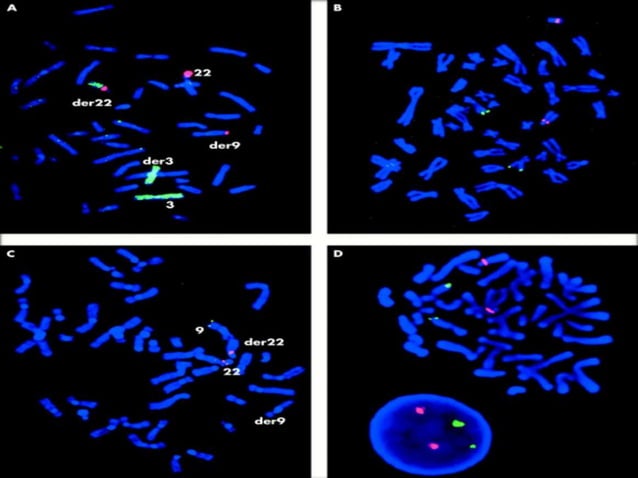 Advanced Techniques In Molecular Cytogenetics Karyotyping, FISH, CGH ...