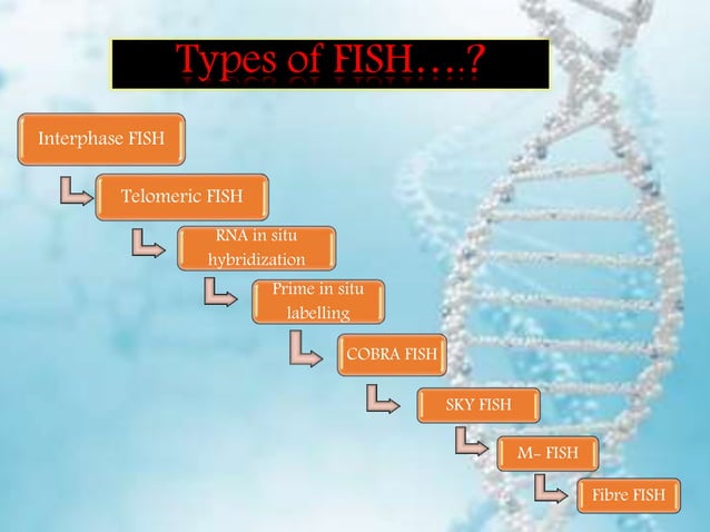 Advanced Techniques In Molecular Cytogenetics Karyotyping, FISH, CGH ...