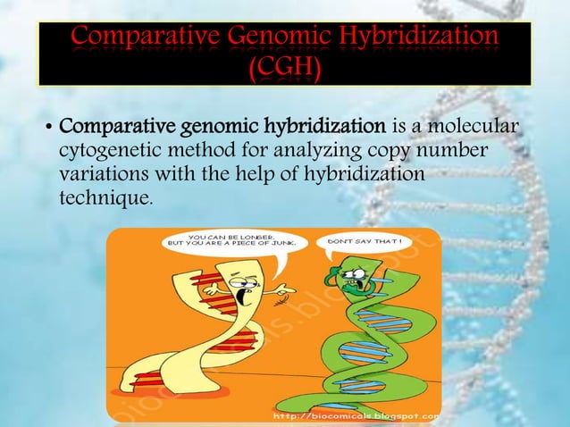 Advanced Techniques In Molecular Cytogenetics Karyotyping, FISH, CGH ...