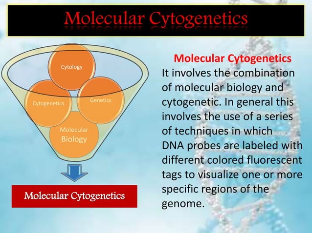 Advanced Techniques In Molecular Cytogenetics Karyotyping, FISH, CGH ...