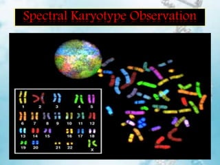 Advanced Techniques In Molecular Cytogenetics Karyotyping, FISH, CGH ...