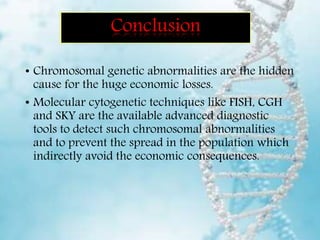 Advanced Techniques In Molecular Cytogenetics Karyotyping, FISH, CGH ...