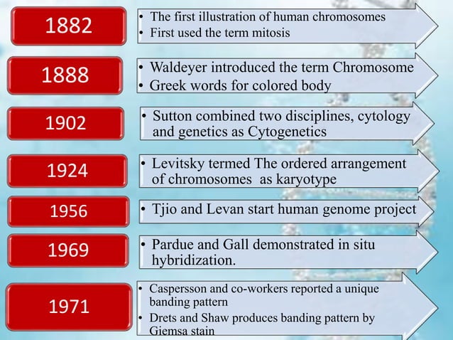Advanced Techniques In Molecular Cytogenetics Karyotyping, FISH, CGH ...