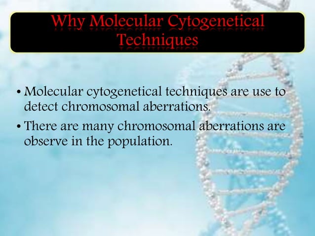 Advanced Techniques In Molecular Cytogenetics Karyotyping, FISH, CGH ...