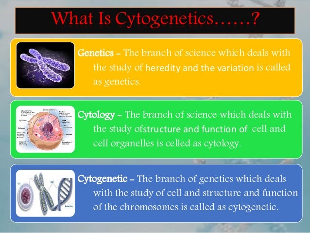 Advanced Techniques In Molecular Cytogenetics Karyotyping, FISH, CGH,…
