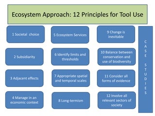 LWEC presentation on the Ecosystem Approach and the National Ecosystem ...