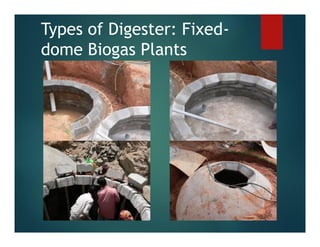 bio mass and bio energy | PDF