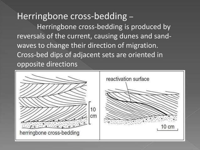 Process of Transport and Generation of Sedimentary Structures | PPTX | Geology | Science