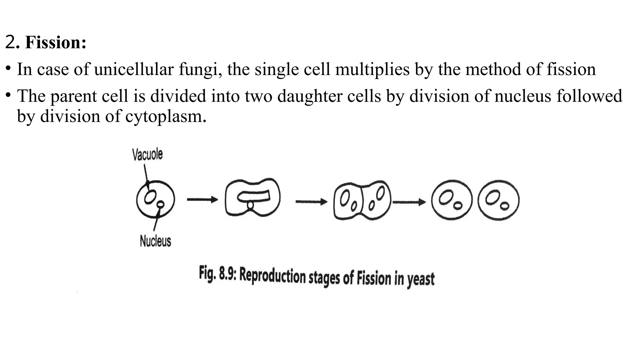 presentation on morphology classification, reproduction, cultivation of ...