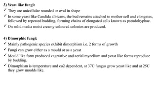 presentation on morphology classification, reproduction, cultivation of ...