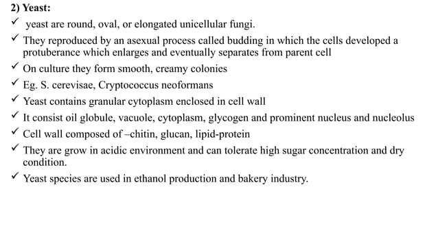 Presentation On Morphology Classification Reproduction Cultivation Of Funungi Ppt