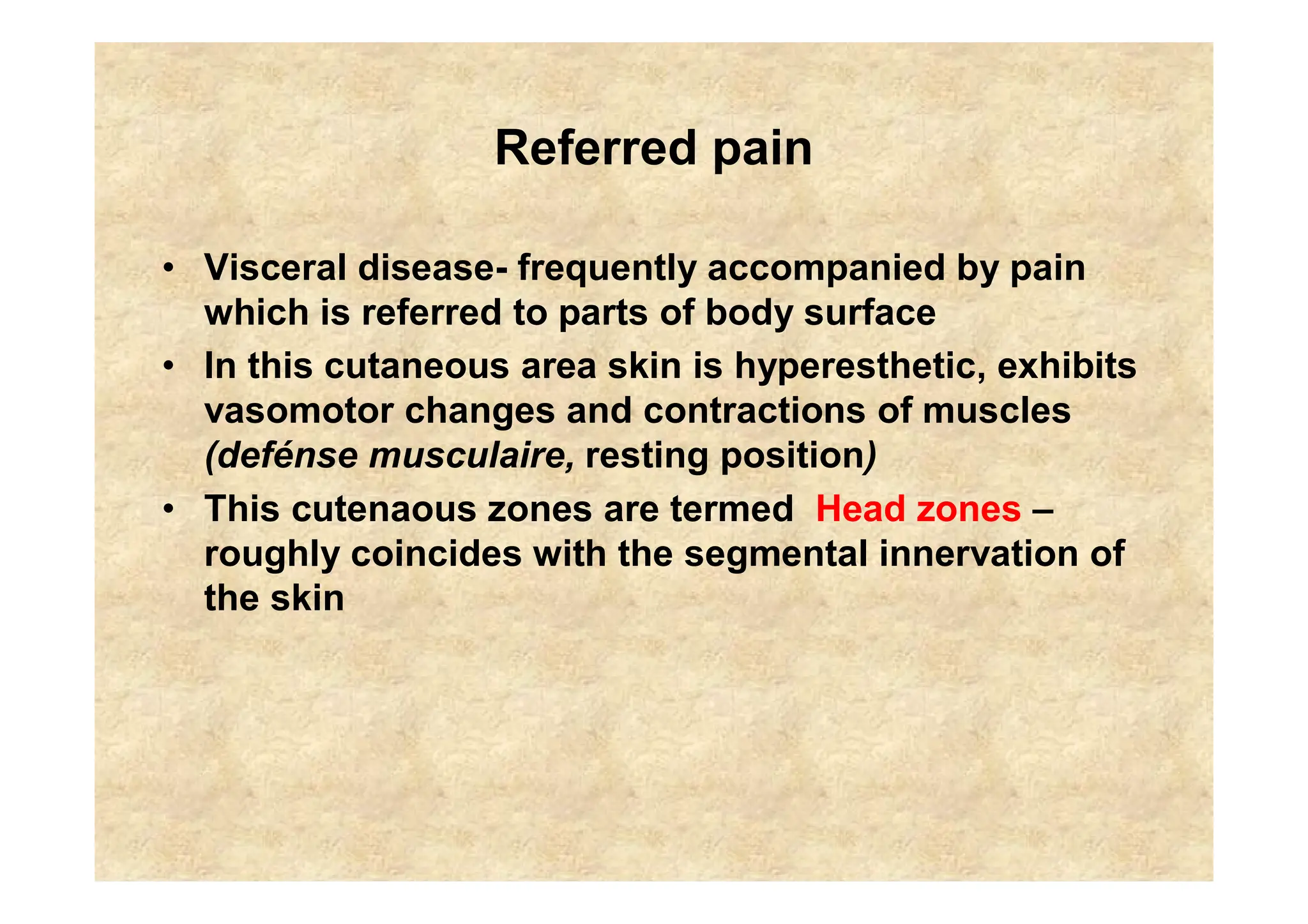 Clinical anatomy abdomin and details about this | PDF