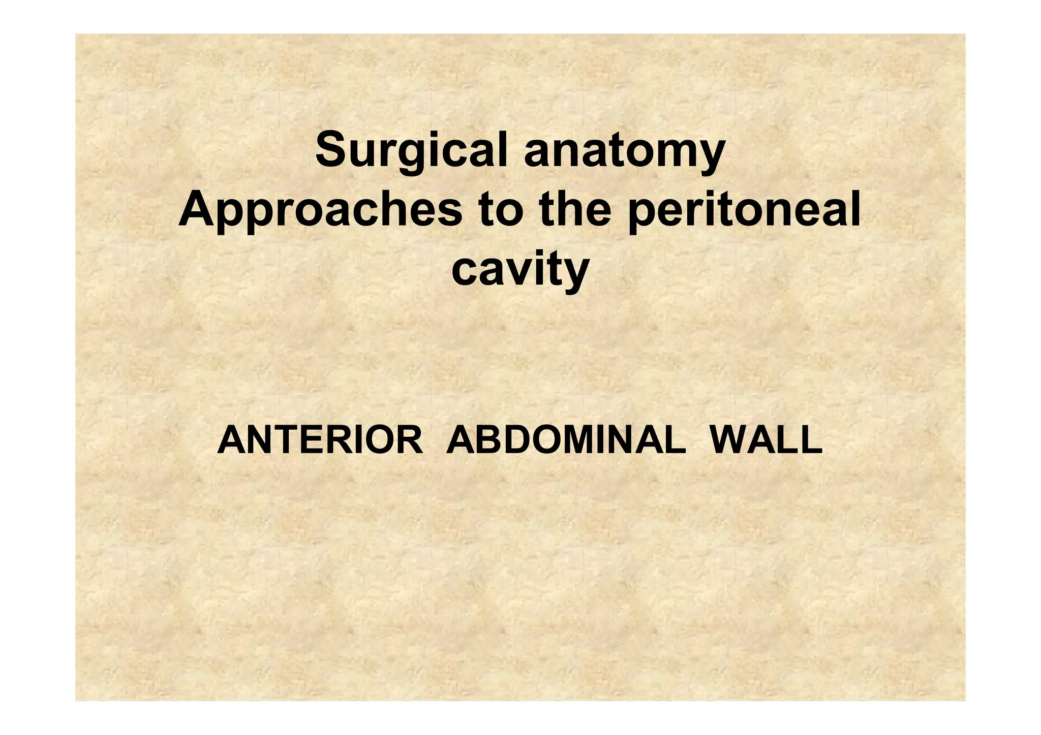Clinical anatomy abdomin and details about this | PDF