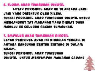 Akar | PPTX