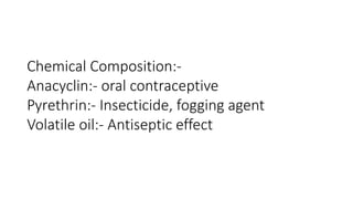 Akarakaraba-Anacyclus Pyrethrum | PPTX