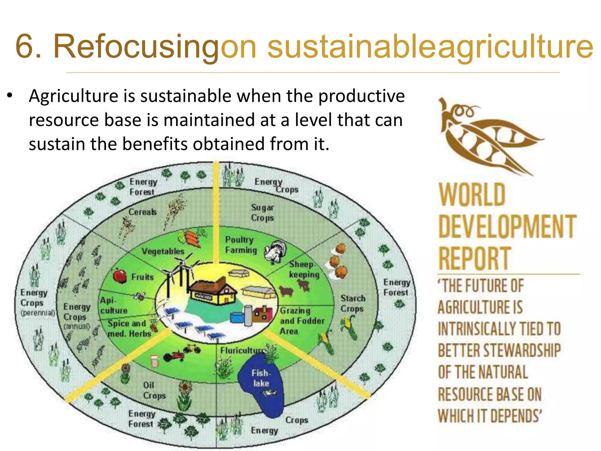IFS an ecofriendly approach for sustainable agriculture environment and ...