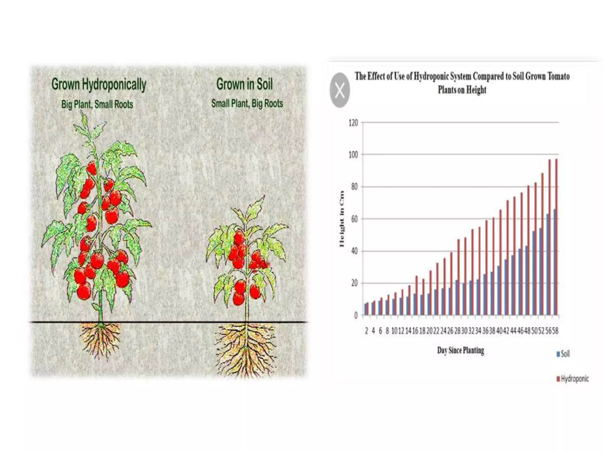IFS an ecofriendly approach for sustainable agriculture environment and ...