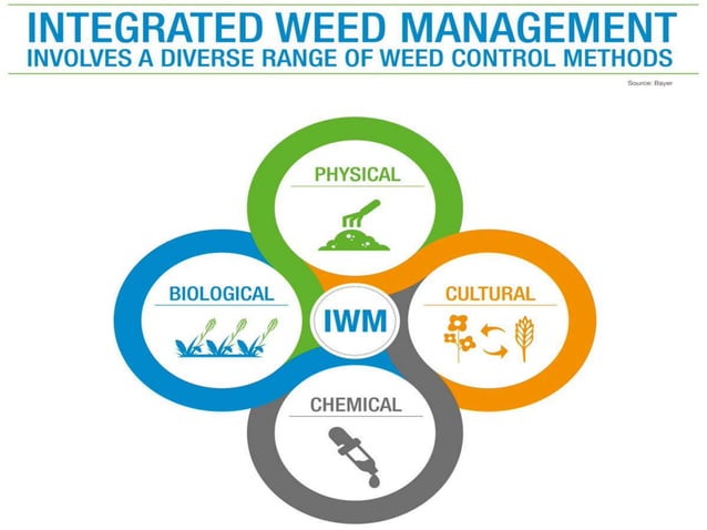 IFS an ecofriendly approach for sustainable agriculture environment and ...