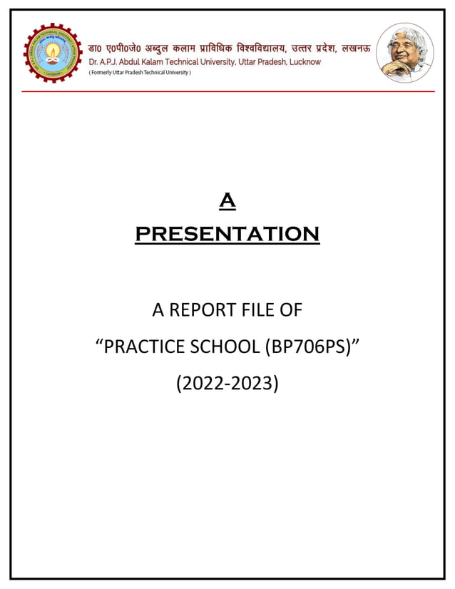 Practice School Report | PDF | Manufacturing Industry | Industries