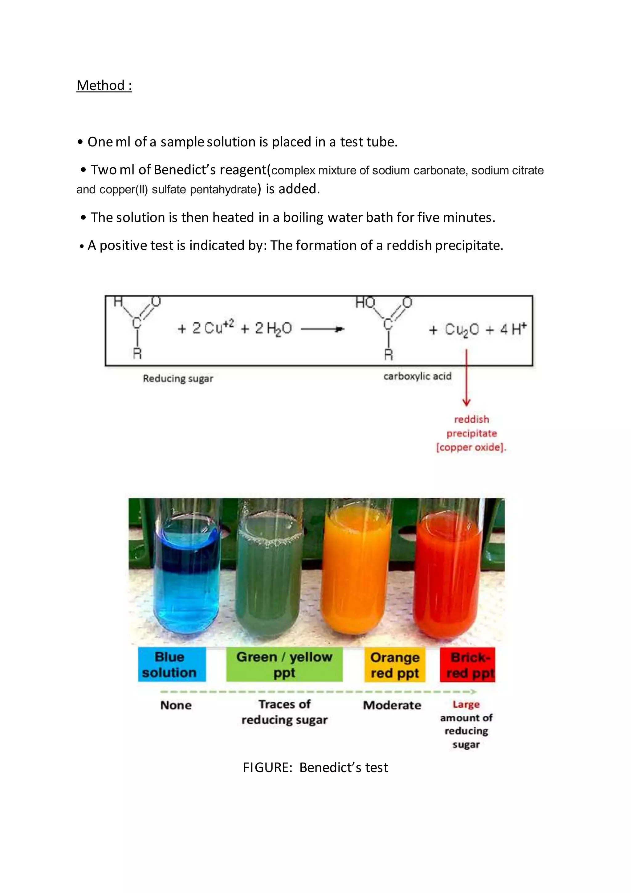 CHEMICAL TEST & IMPORTANCE OF CARBOHYDRATES | DOCX