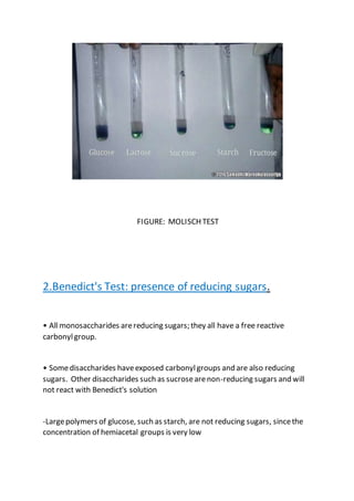 CHEMICAL TEST & IMPORTANCE OF CARBOHYDRATES | DOCX