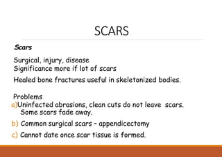identification | PPTX