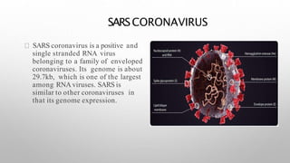 severe acute respiratory syndrome (sars) | PPTX | Infectious Diseases ...