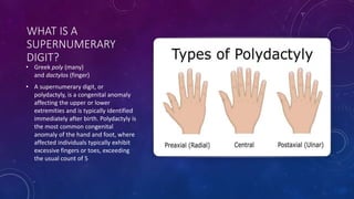 Akash Presentationbest1, NY2024 (1).pptx