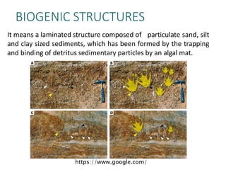 Sedimentary structure and paleocurrent analysis | PPTX