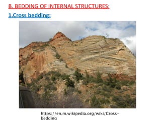 Sedimentary structure and paleocurrent analysis | PPTX
