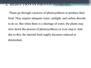 AKASH soil plant water realation PPT.pptx