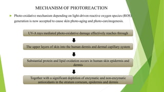 Sunprotection, sunscreen and its classification | PPTX