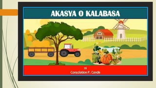 AKASYA O KALABASA.pptx